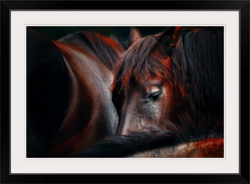 Great Big Canvas 'Sleep Huddle' by Martin Stantchev Photographic Print ...