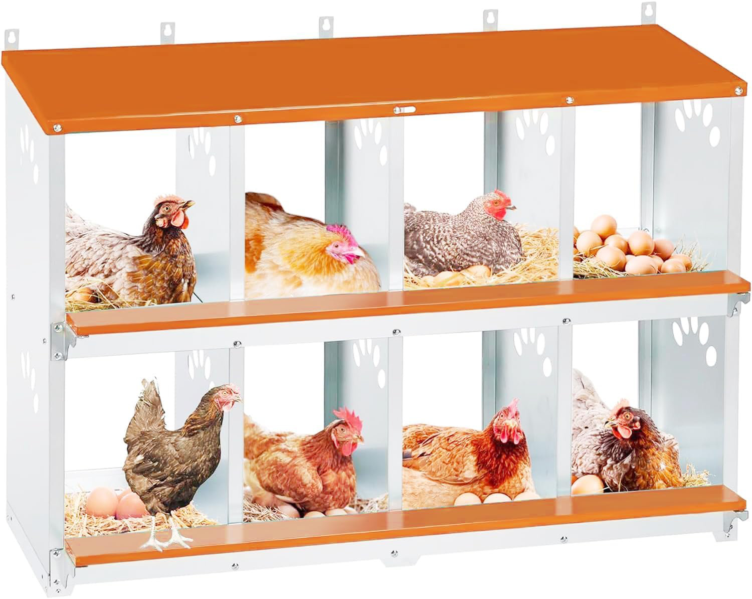 Ophelia & Co. Chicken Nesting Box, Roll Away Chicken Laying Box with ...