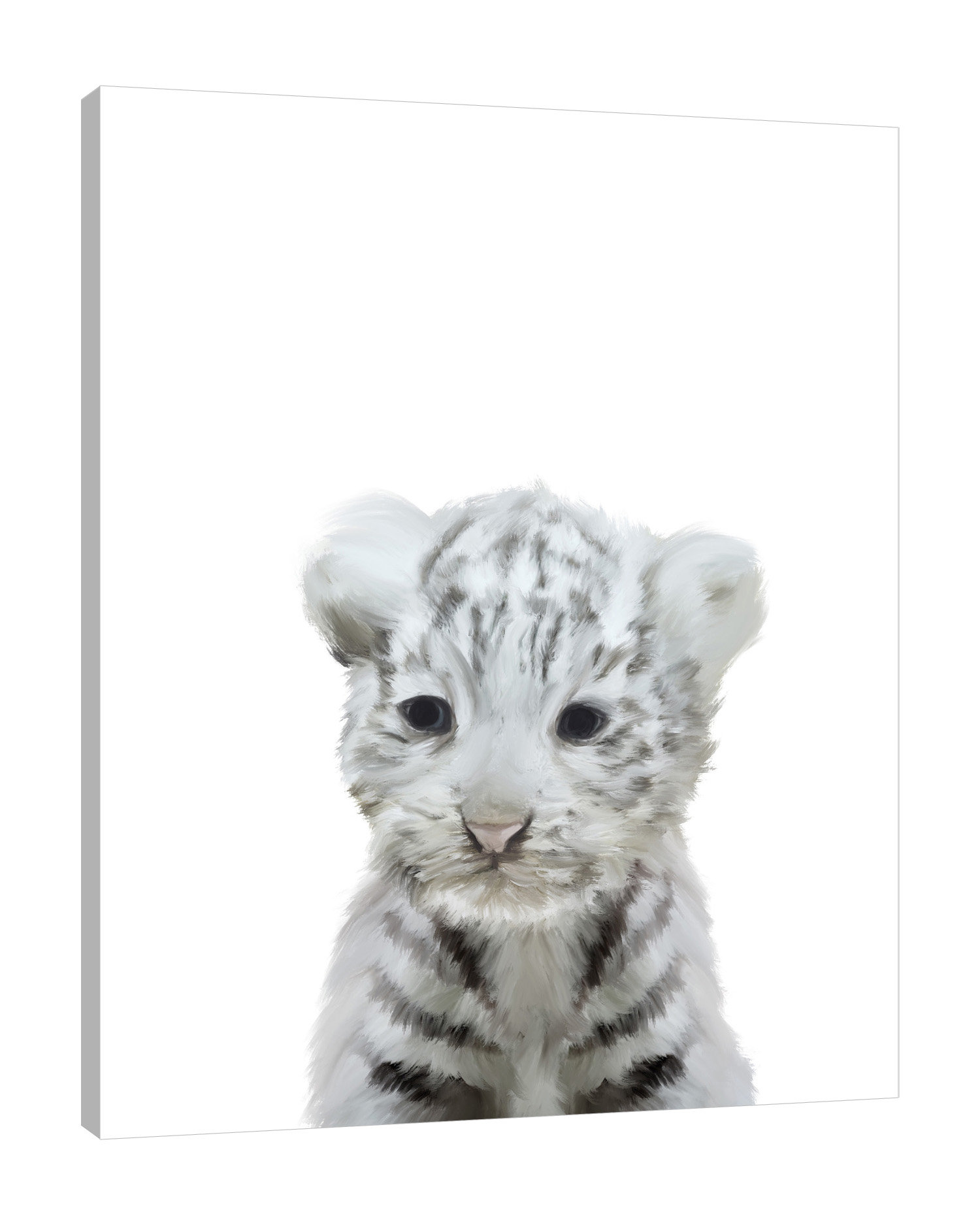Jaxson Rea "White Tiger" Gallery Wrapped Canvas By Leah Straaham ...
