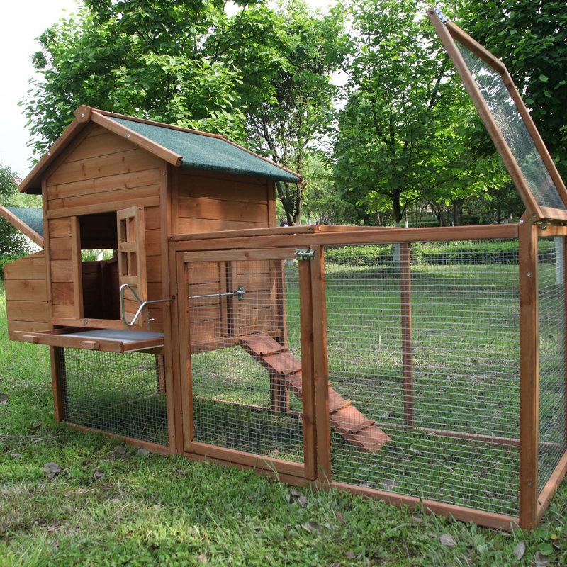Tucker Murphy Pet™ Zebediah Chicken Coop with Chicken Run & Reviews ...