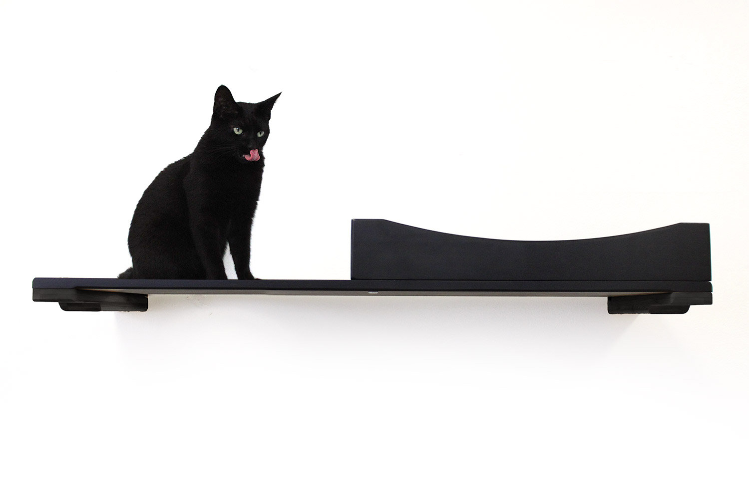 CatastrophiCreations 5" Designer Rectangle Cat Bed Cat Perch | Wayfair
