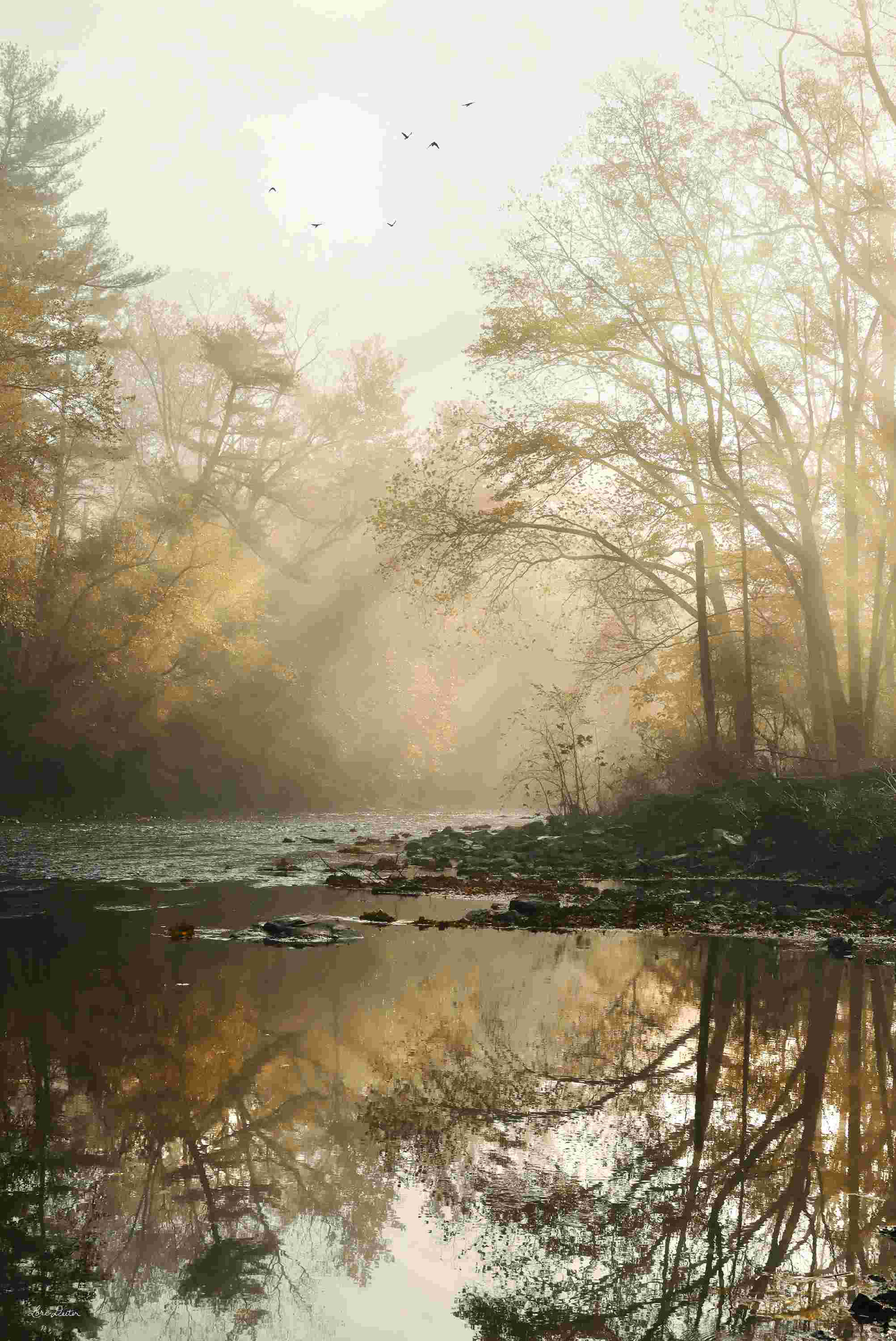 Millwood Pines Gold Reflections 2884572 & Reviews - Wayfair Canada