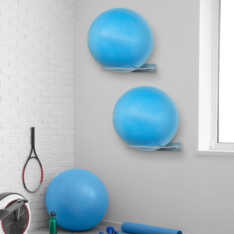 Rebrilliant Metabel Metal Wall Mounted Yoga Ball Sport Rack | Wayfair