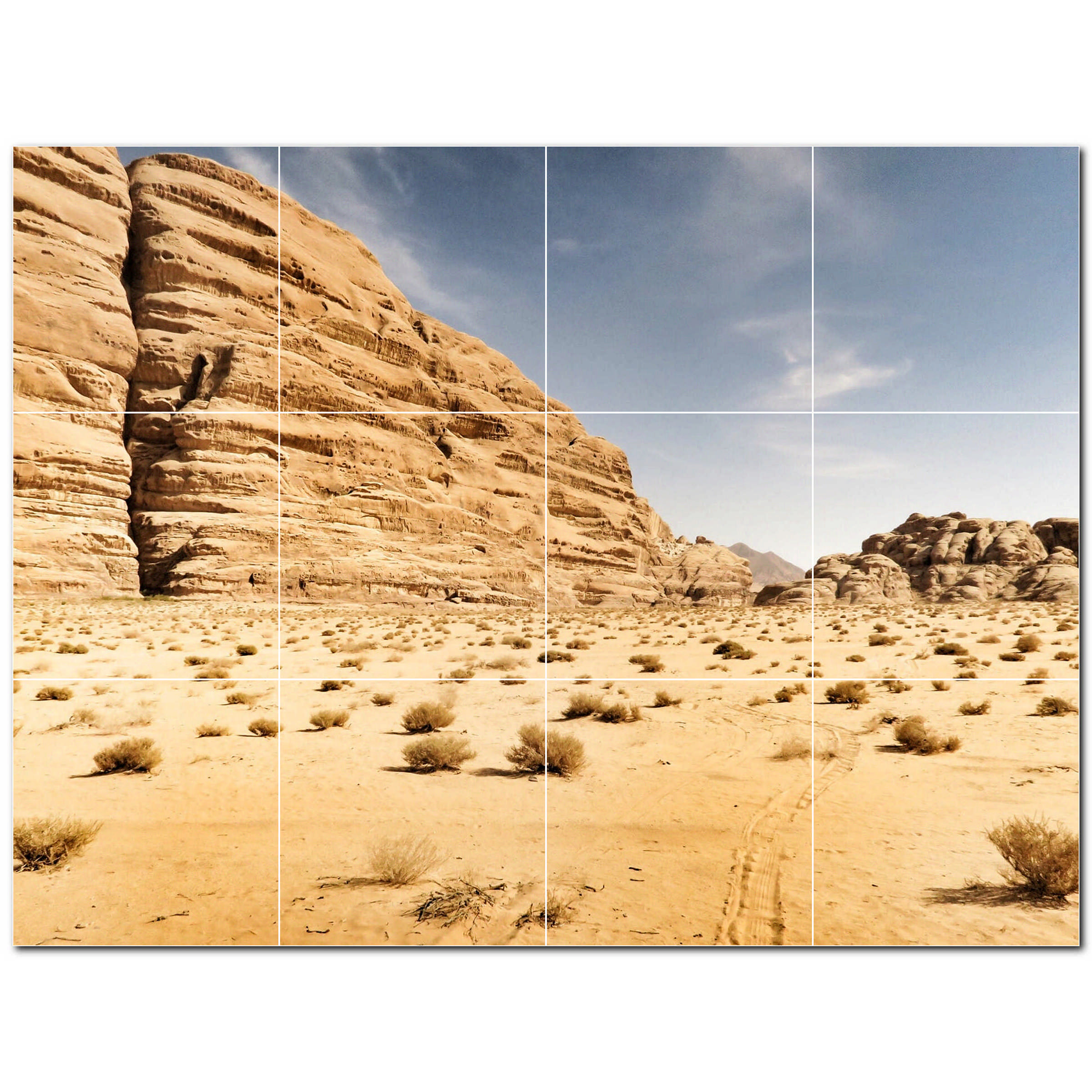 Picture-Tiles.com Desert Photo 8'' x 8'' Satin Ceramic Decorative Mural ...