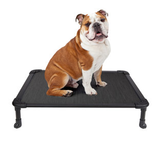 Elevated Dog Beds You'll Love | Wayfair