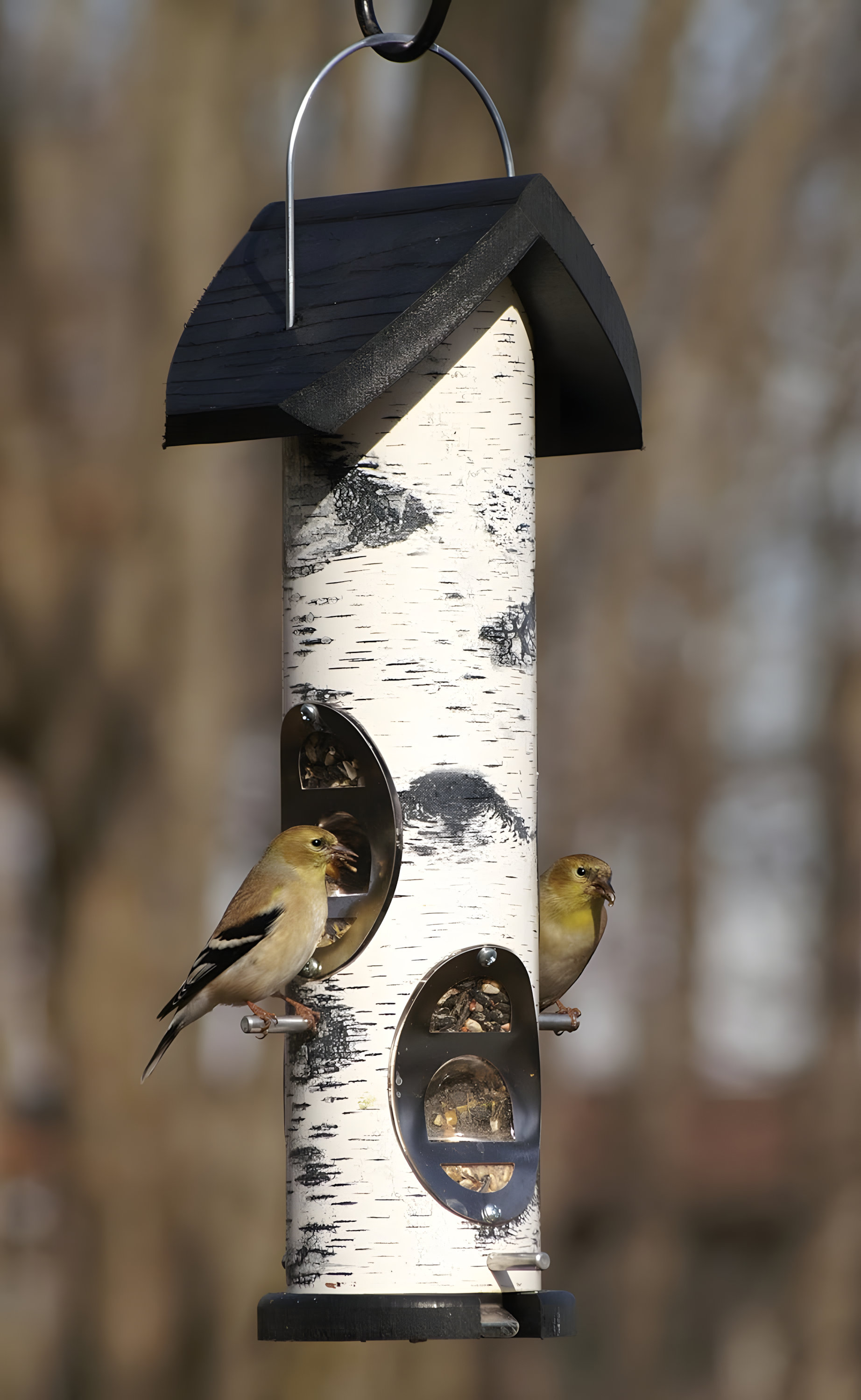 One Allium Way® Birch Log Design Bird Feeder With Squirrel-Proof ...