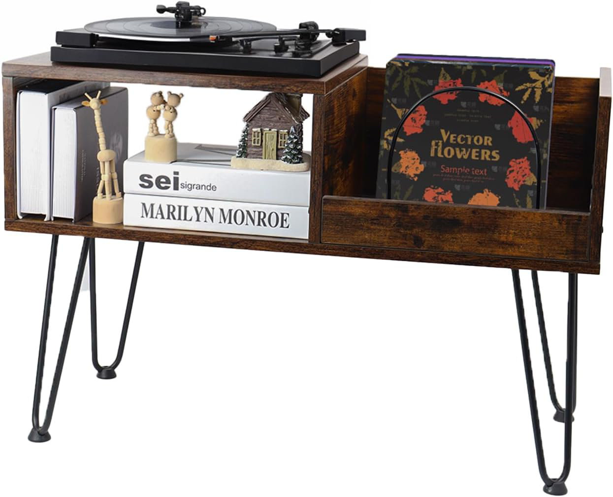 George Oliver Small Record Player Cabinet, Record Player Stand With ...