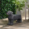 Latitude Run® Lightweight Concrete Dog Bench - Design For Outdoor, No ...