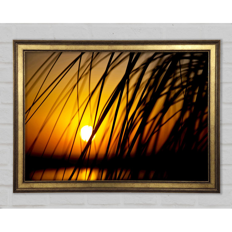 Brayden Studio Golden Sun Through The Reeds - Print | Wayfair.co.uk
