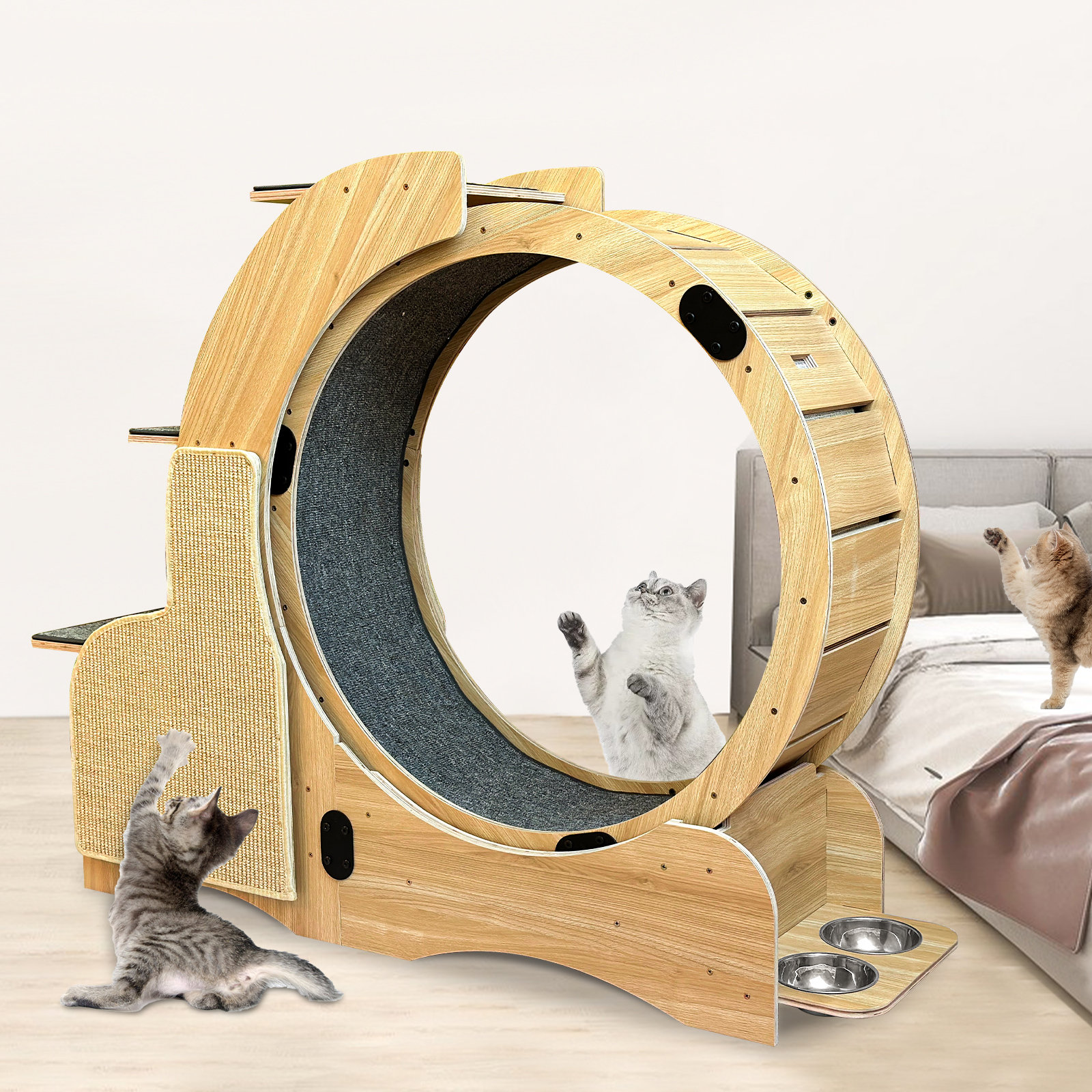 Tucker Murphy Pet™ Roue de sport pour chat 5-en-1, structure d'escalade ...