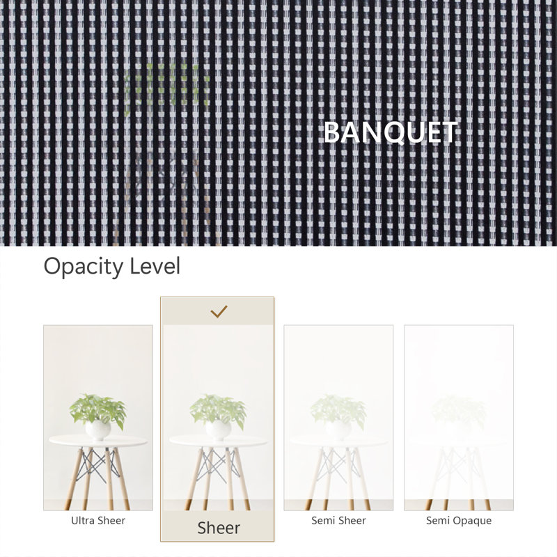 Symple Stuff Adessa Hanging Room Divider Panel, Sheer Semi Privacy ...