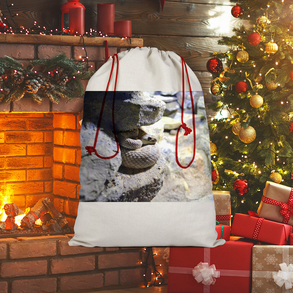 East Urban Home Snake 2 Sublimation Santa Sack | Wayfair