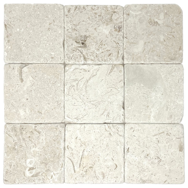 Parvatile Fossil Stone 4" x 4" Limestone Tile | Wayfair