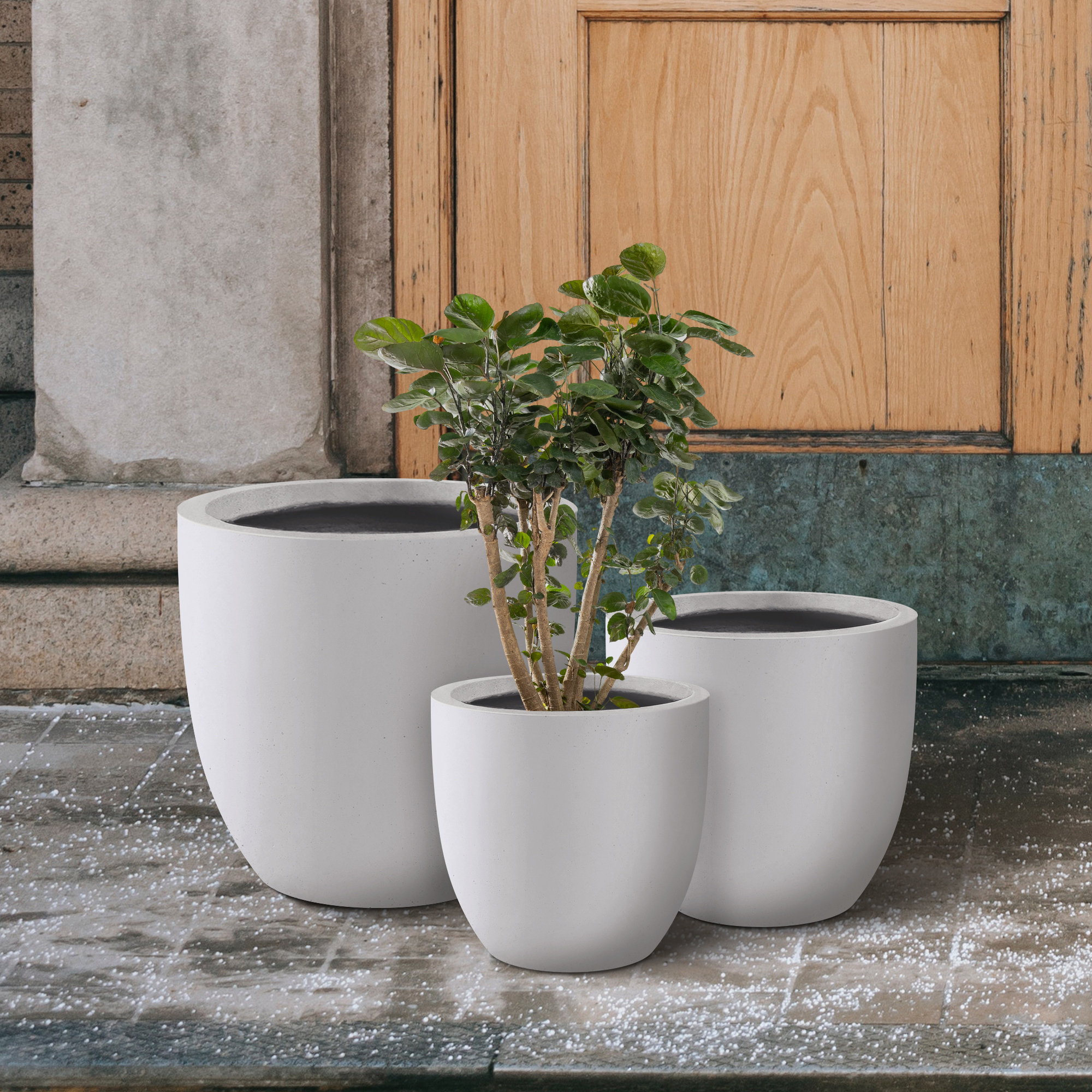 Latitude Run® Kante 3 Piece 18", 14", and 10"W Concrete Round Planters ...