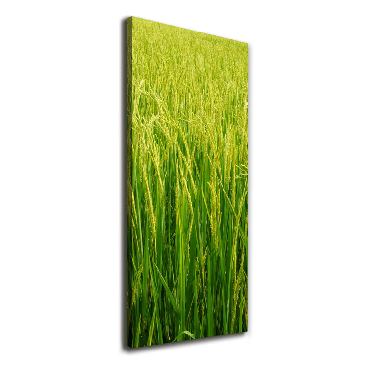 Brayden Studio Rice Plantation - Wrapped Canvas Print | Wayfair.co.uk