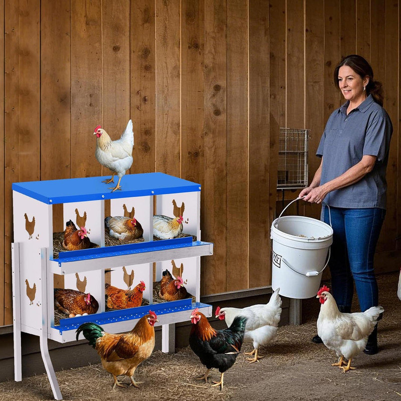 Tucker Murphy Pet™ Chicken Nesting Box with Removable Tray - Metal ...