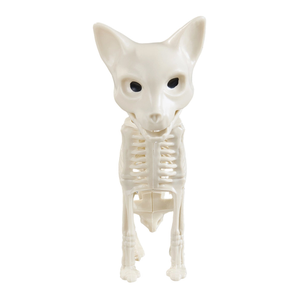 The Seasonal Aisle Spooky Cat Skeleton Figurine Bone Statue for ...