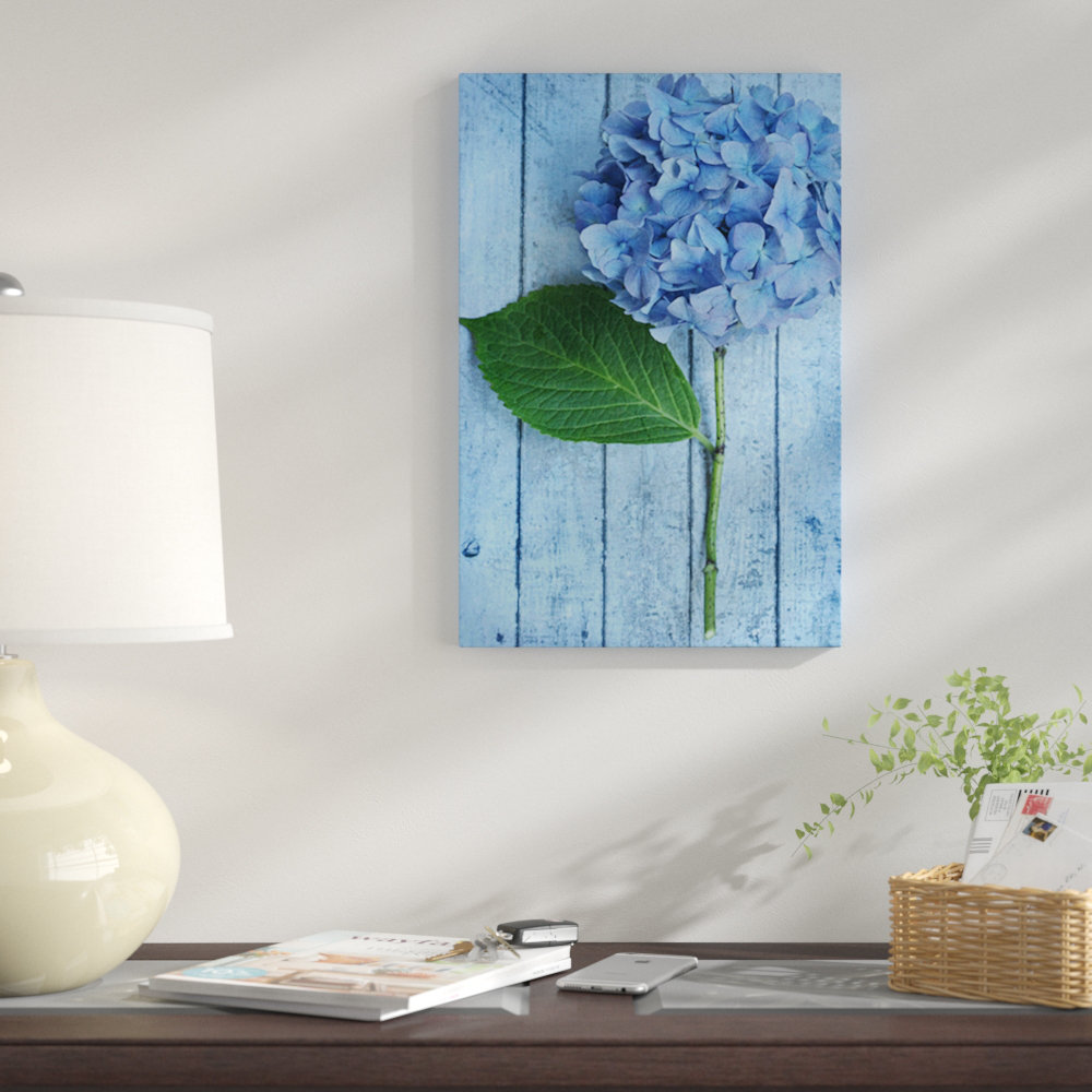East Urban Home 'Powder Blue Hydrangea' Photographic Print on Canvas ...