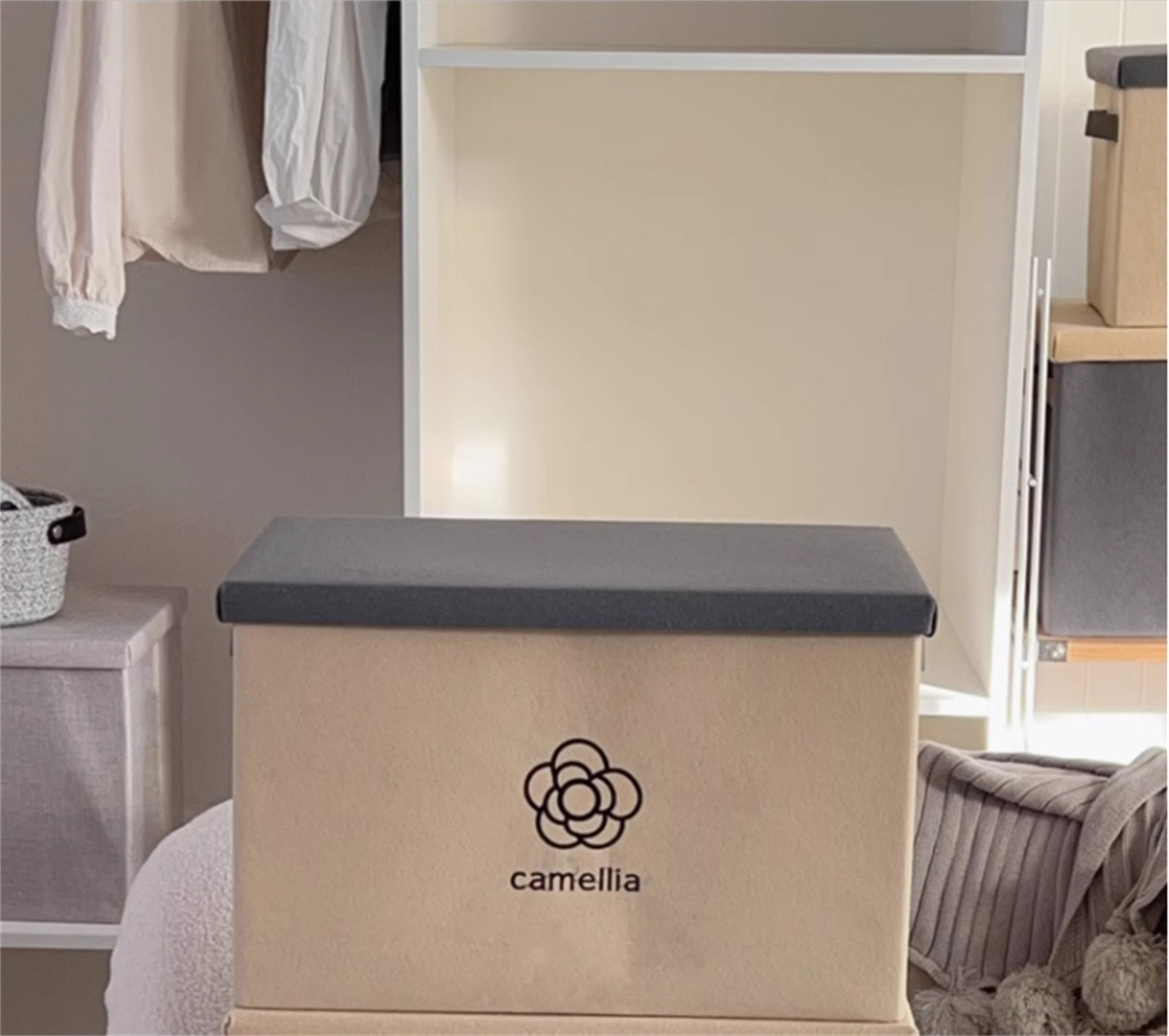 Rebrilliant Clothes Storage Box with Lid - Wayfair Canada