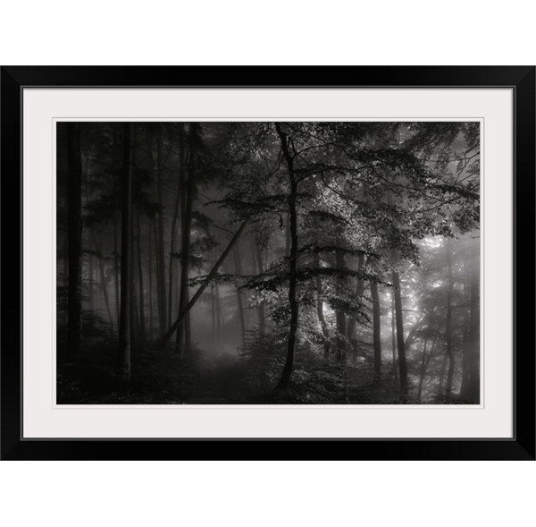 The Twillery Co.® Straub Morning Light by Norbert Maier Photograph ...