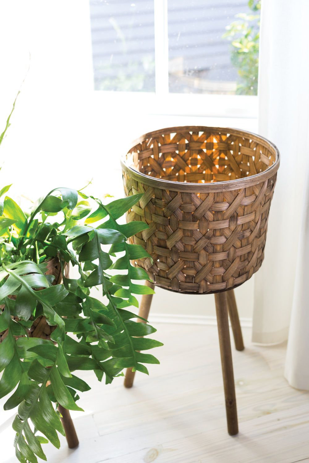 Bay Isle Home™ Abrah Wood Cachepot | Wayfair