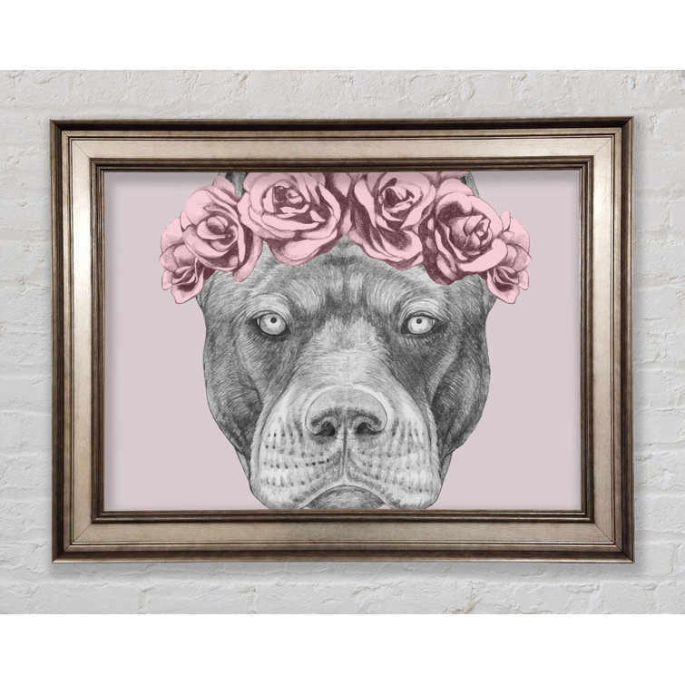 Bright Star Flower Head Pitbull - Single Picture Frame Art Prints ...