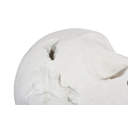 Phillips Collection Cast Root Floor Ball, SM, Roman Stone | Perigold