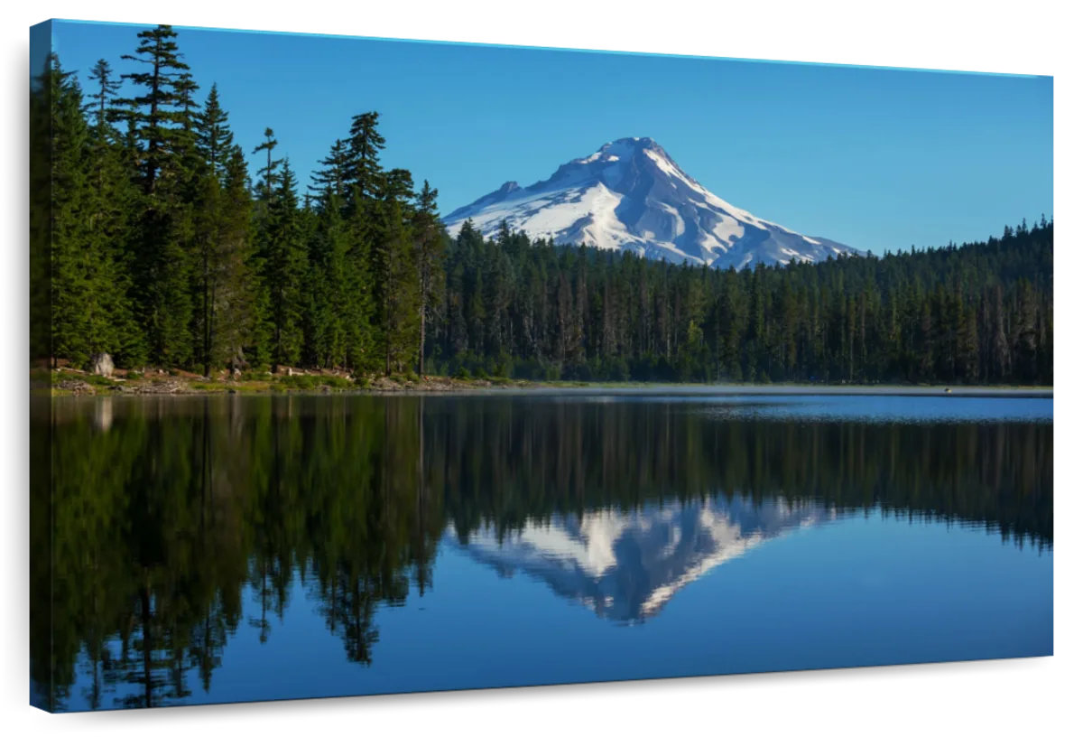 Millwood Pines Alvord Mount Hood Reflection | Wayfair