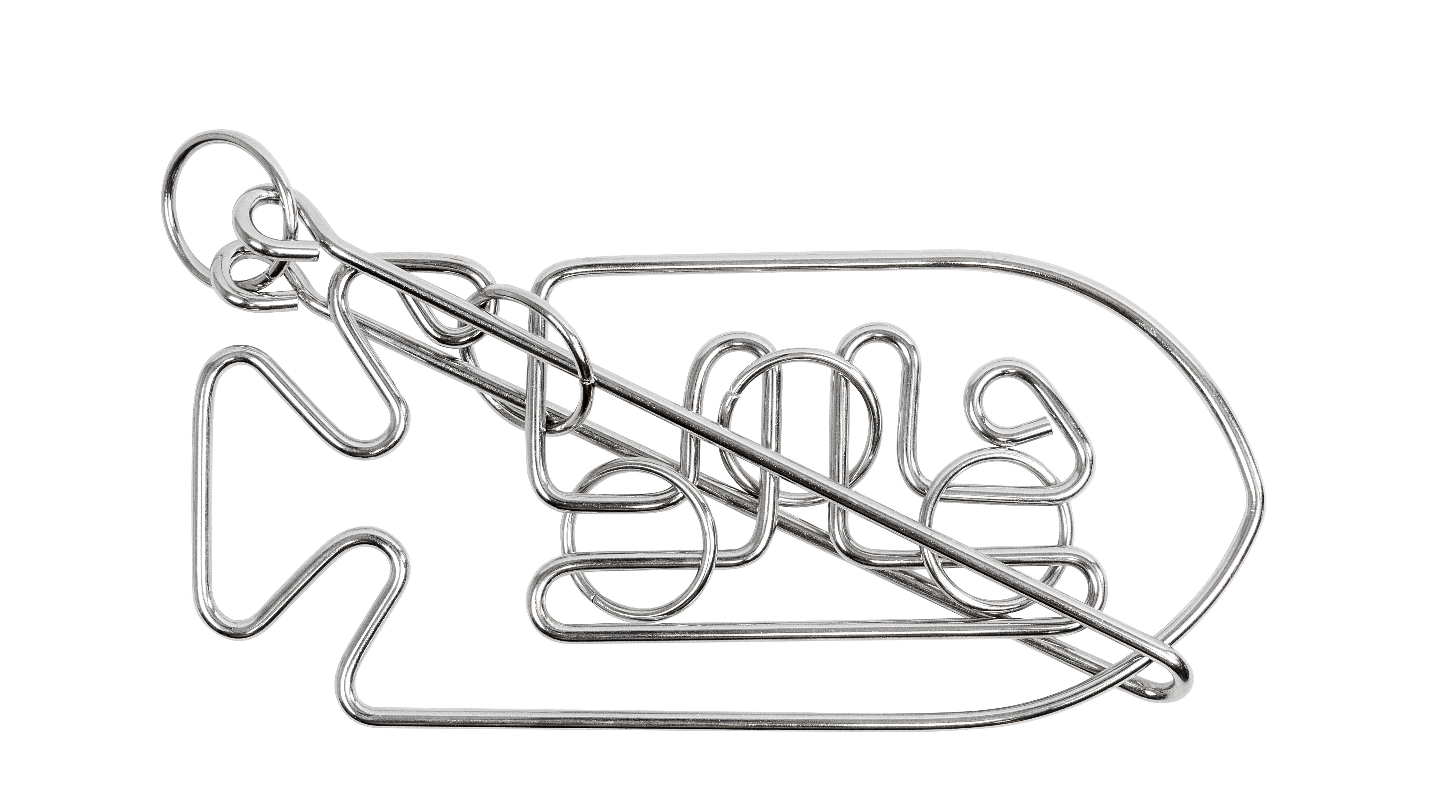 Professor Puzzle USA, Inc. Einstein the Fish Puzzle | Wayfair