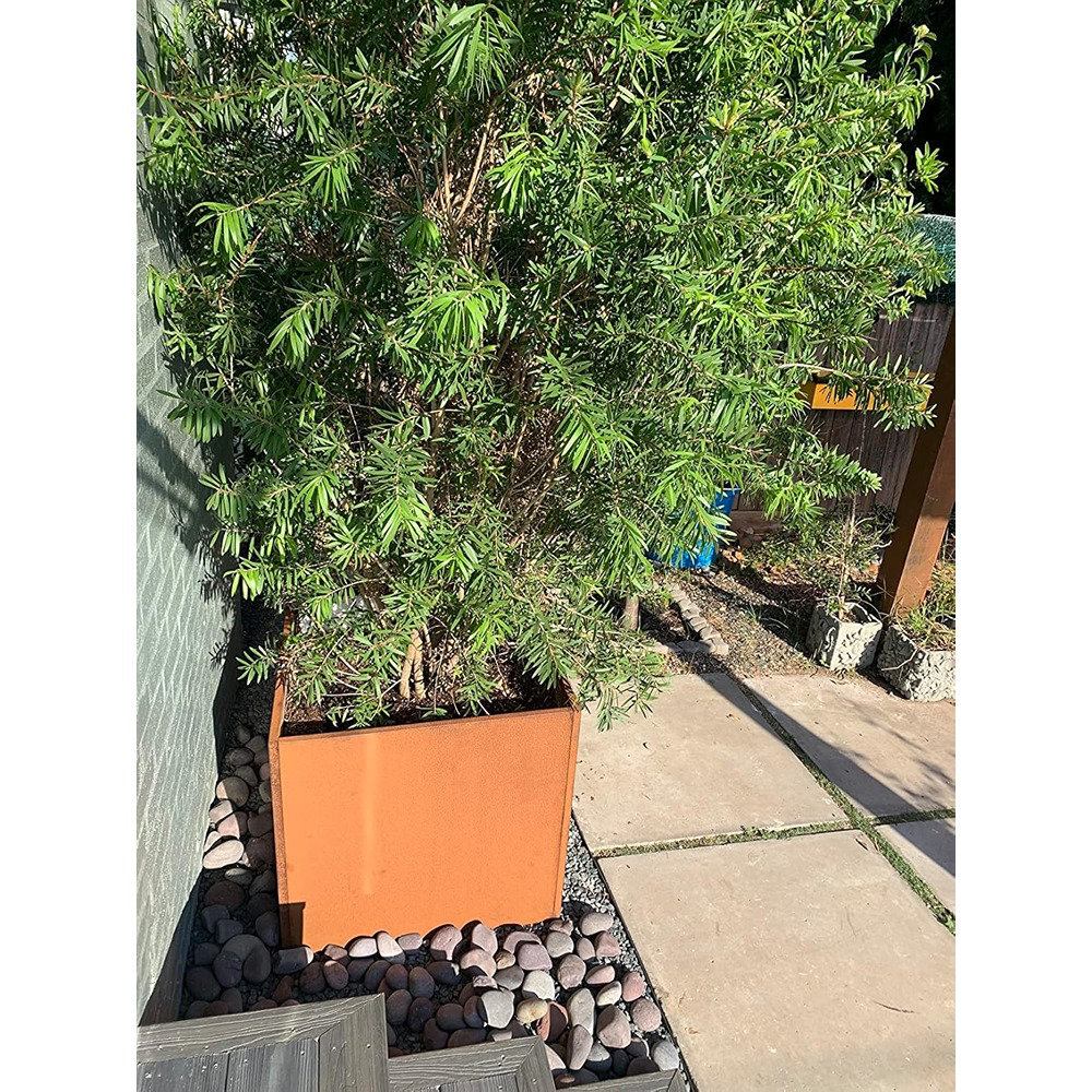 Hokku Designs Steel Planter Box Metal Square Planters Steel Large Plant ...