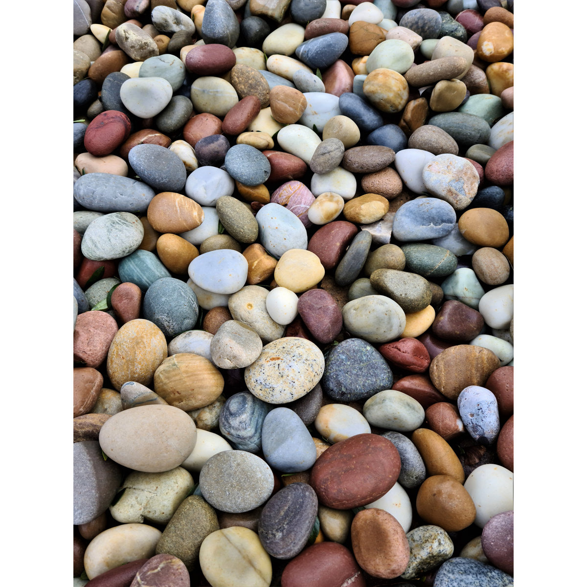 Dakota Fields Alcone Garden Stone & Reviews | Wayfair.co.uk