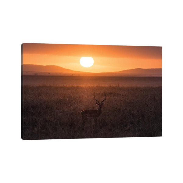 Alpen Home Africa, Tanzania, Ngorongoro Conservation Area. Antelope ...