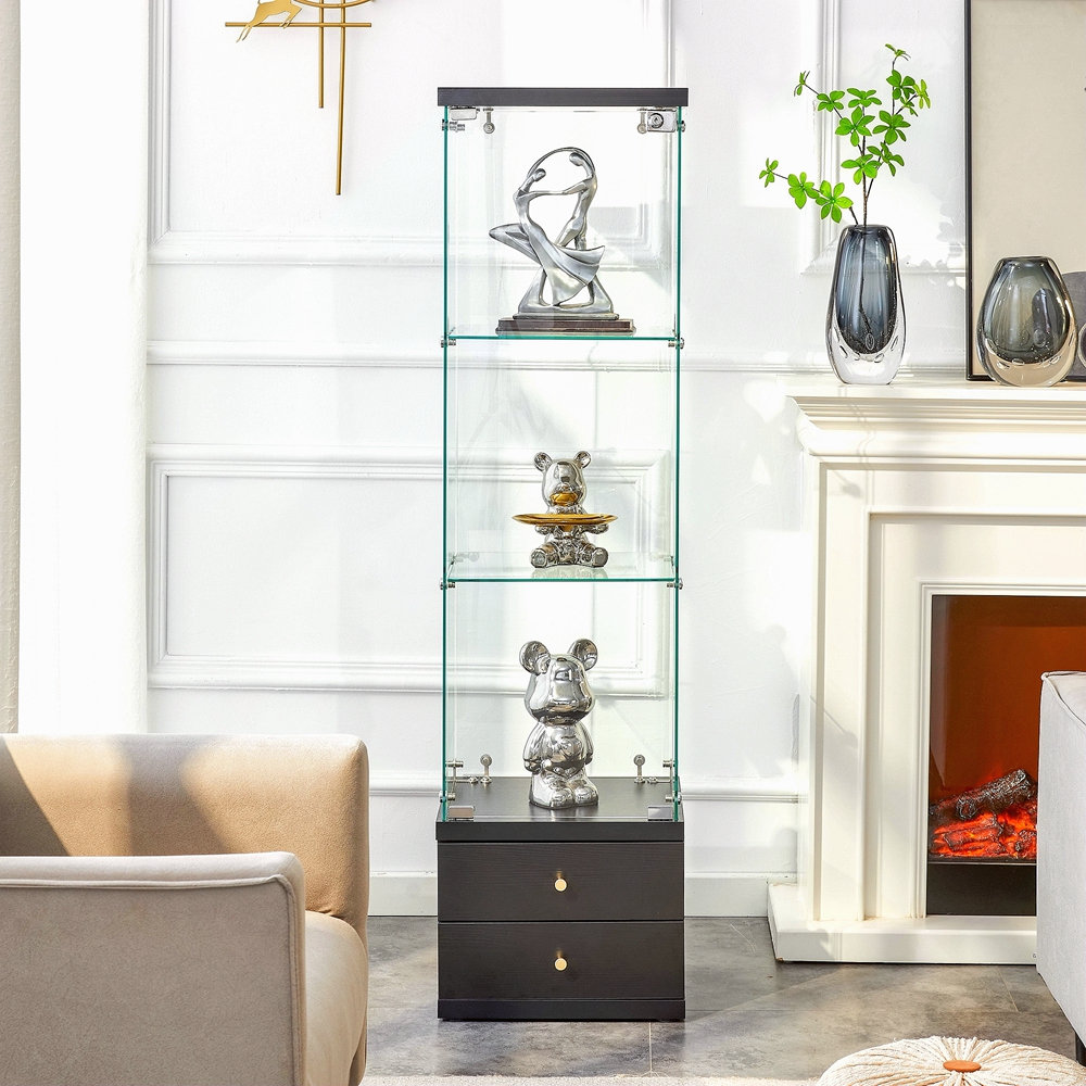 Latitude Run® American-Style Non-Lit Glass Display Cabinet (0.2 ...
