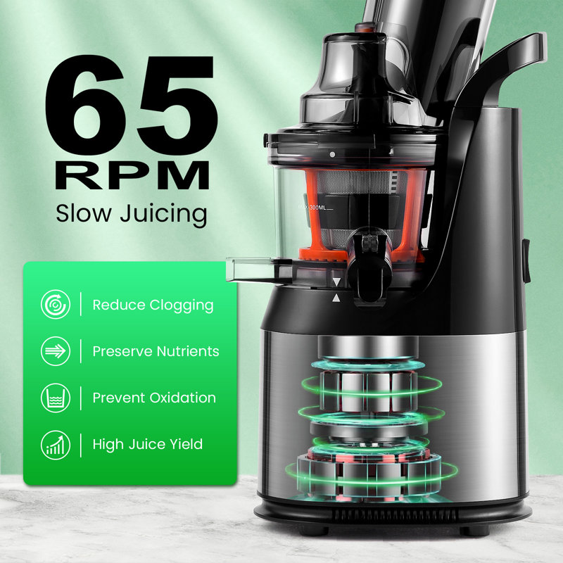 VENTRAY Compact Cold Press Masticating Juicer Machine & Reviews | Wayfair