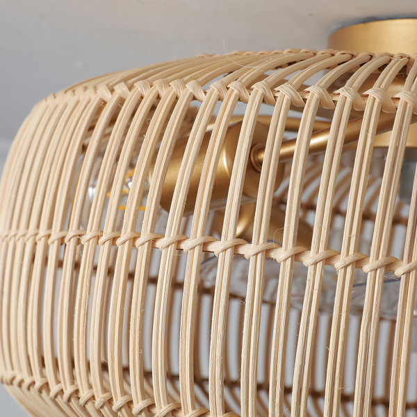 Bay Isle Home™ 20"Rattan Ceiling Fans with Lights, Low Profile Boho ...