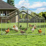 Tucker Murphy Pet™ Metal Chicken Run Coop, Walk-in Poultry Cage With ...