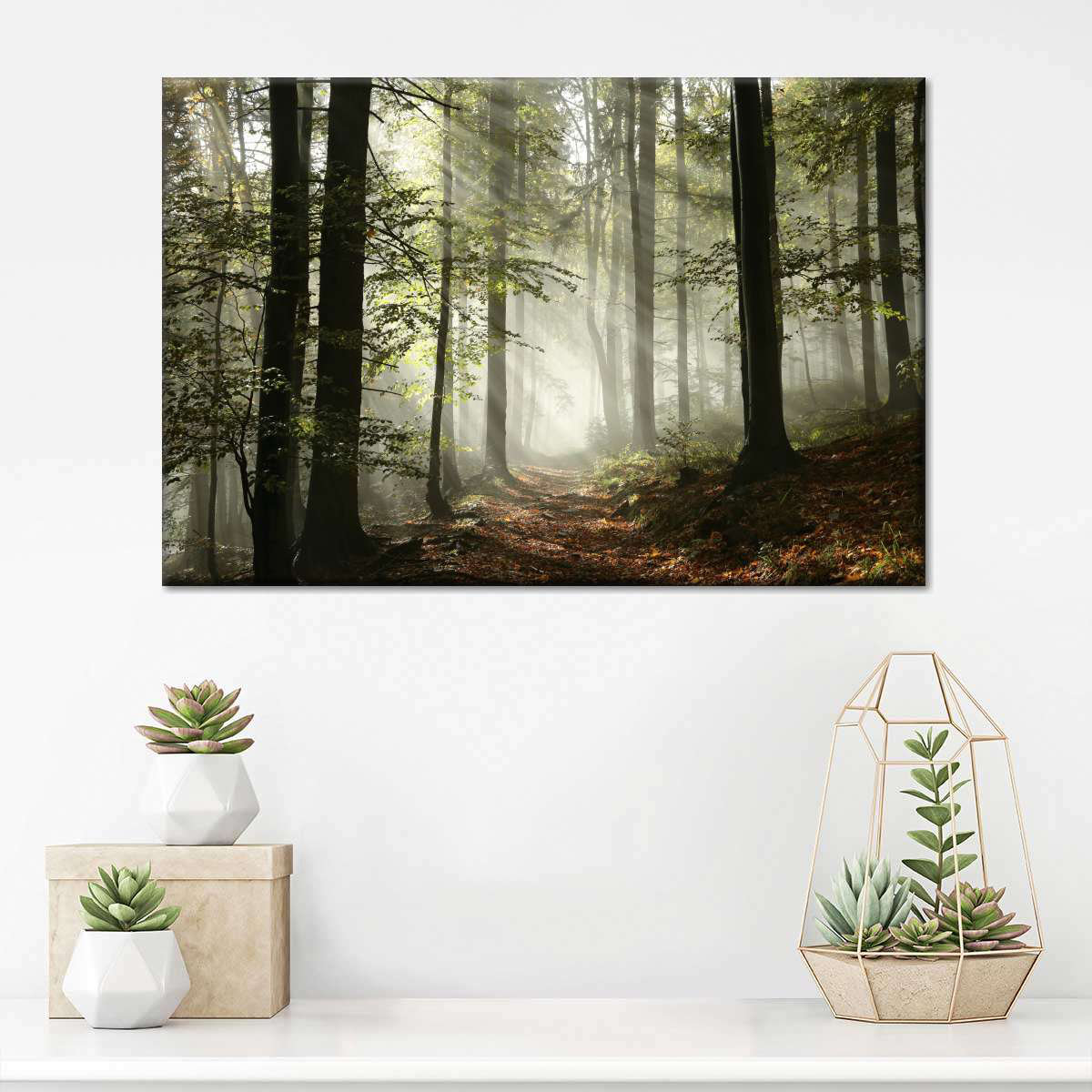 Millwood Pines Calming Forestscapes Forest Daybreak Canvas Print ...