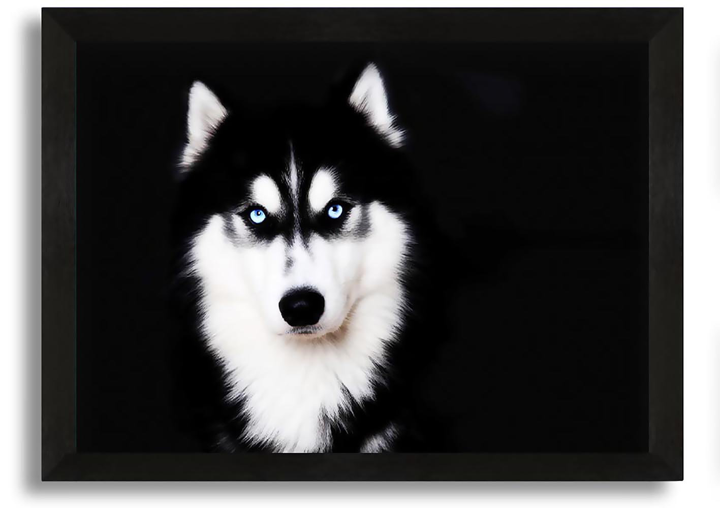ModernMoments Husky Dog Love - Picture Frame Photograph on Canvas ...