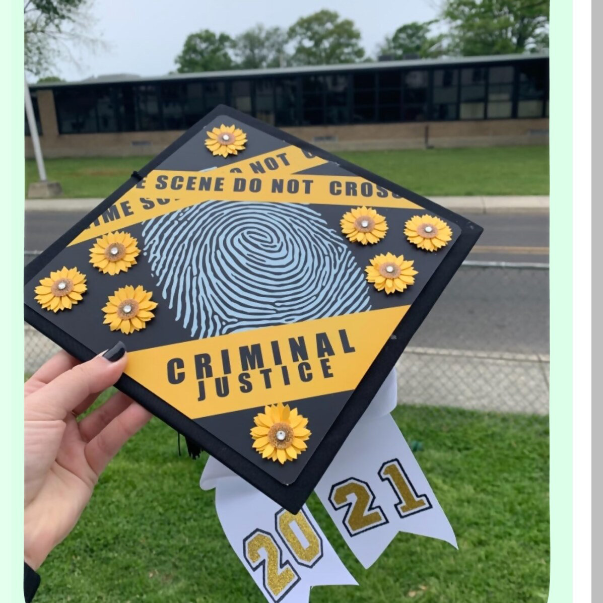 MODAIO Graduation Cap Topper for Custom Self-Expression | Wayfair