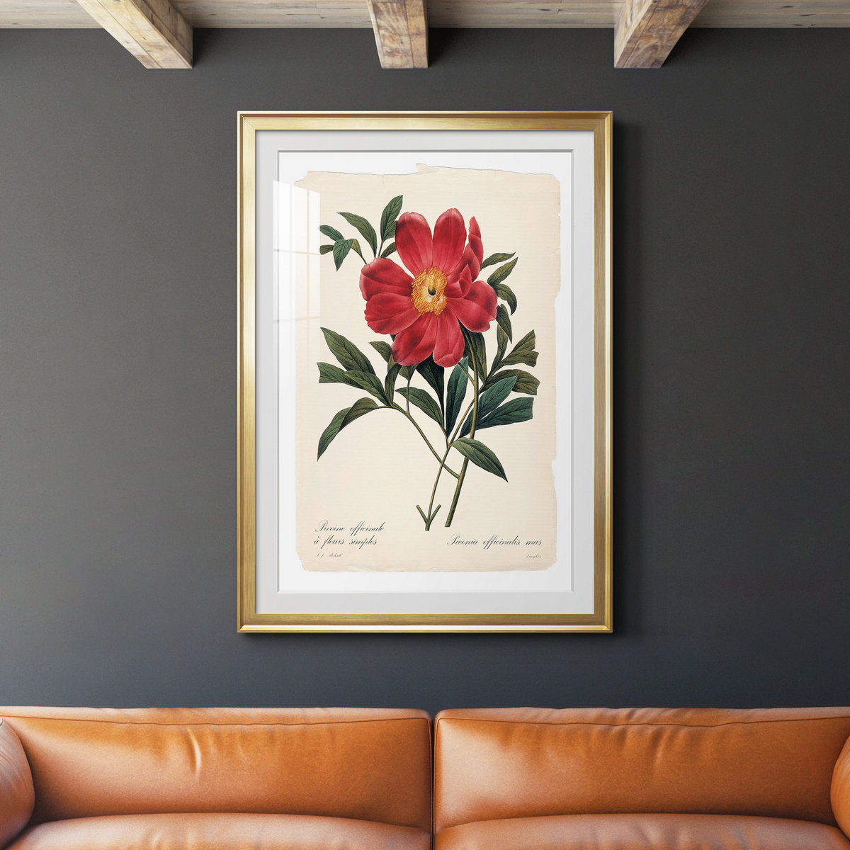 Rosalind Wheeler Red Botanical IV - Picture Frame Graphic Art | Wayfair