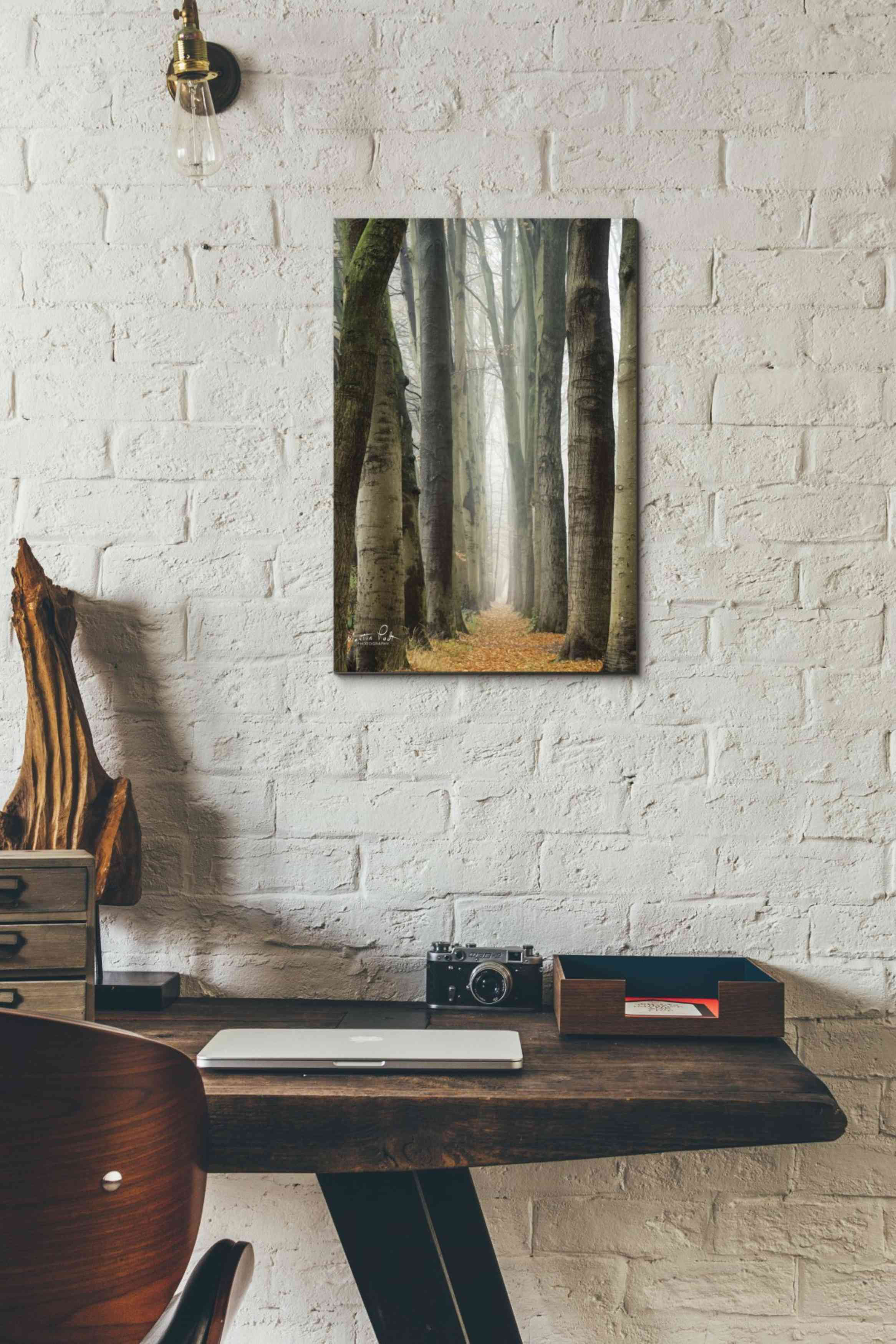 Millwood Pines Narrow Alley in the Netherlands by Martin Podt - Wrapped ...