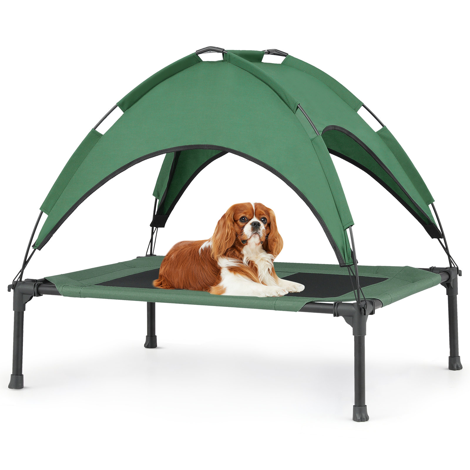 Tucker Murphy Pet™ Elevated Dog Bed With Canopy, Outdoor Dog Cot With ...