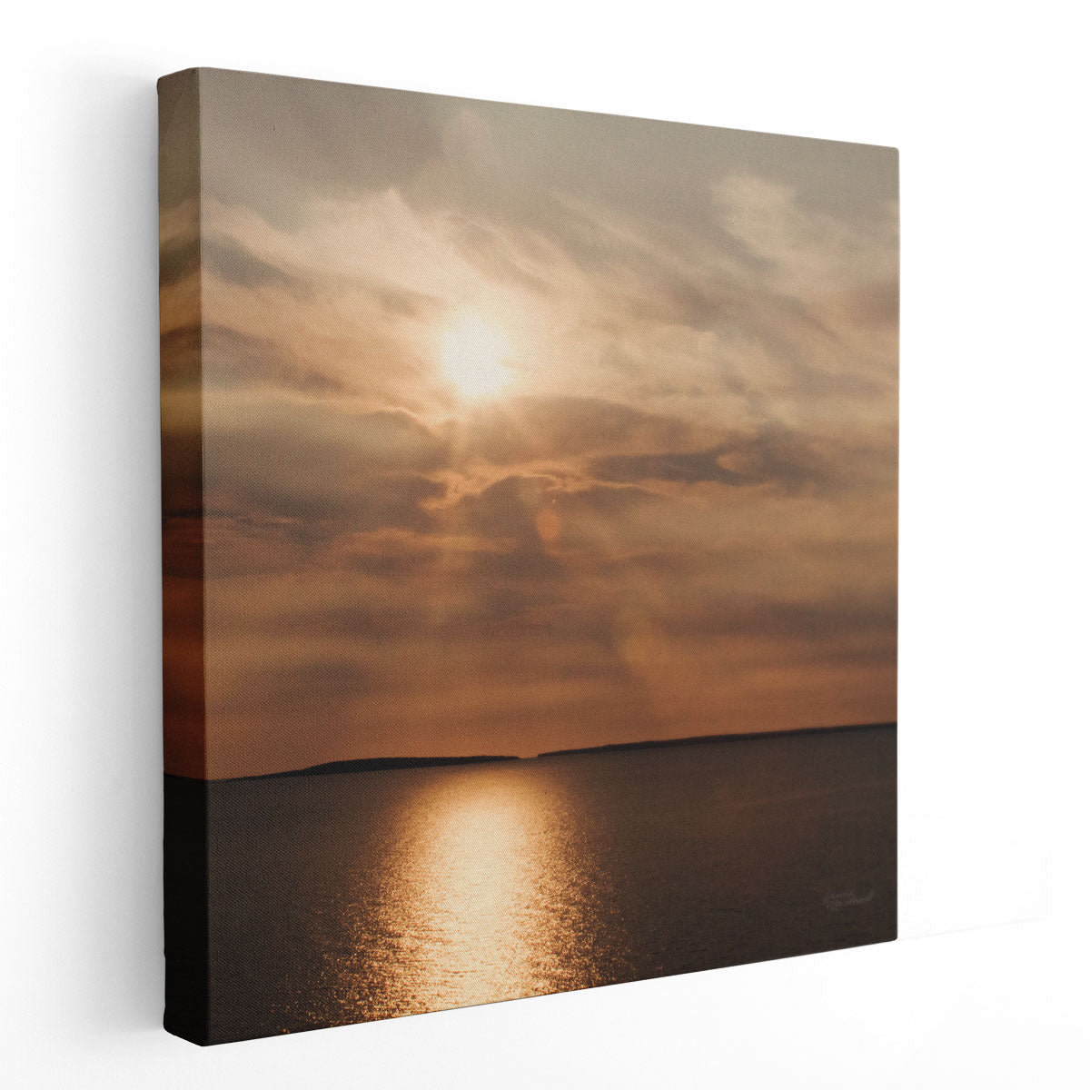 Latitude Run® Morning Spotlight 2 - Canvas Print Wall Art | Wayfair