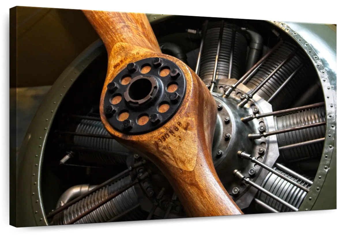 Elephant Stock Wooden Propeller | Wayfair