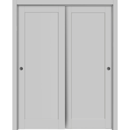 SARTODOORS Quadro Solid + Manufactured Wood Paneled Sliding Closet ...