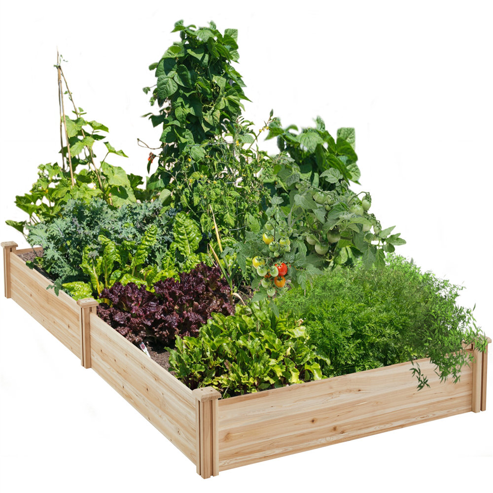 Arlmont & Co. Cisbrough Multi-sized Outdoor Fir Wood Elevated Planter ...