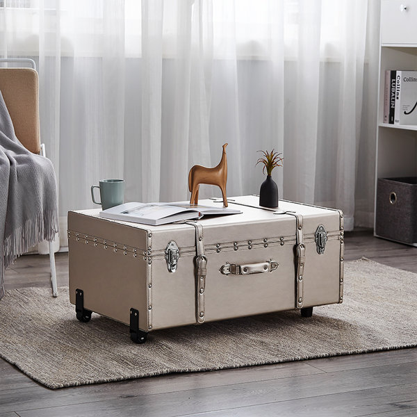DormCo Texture Brand Designer Trunk with Wheels - Faux Leather ...