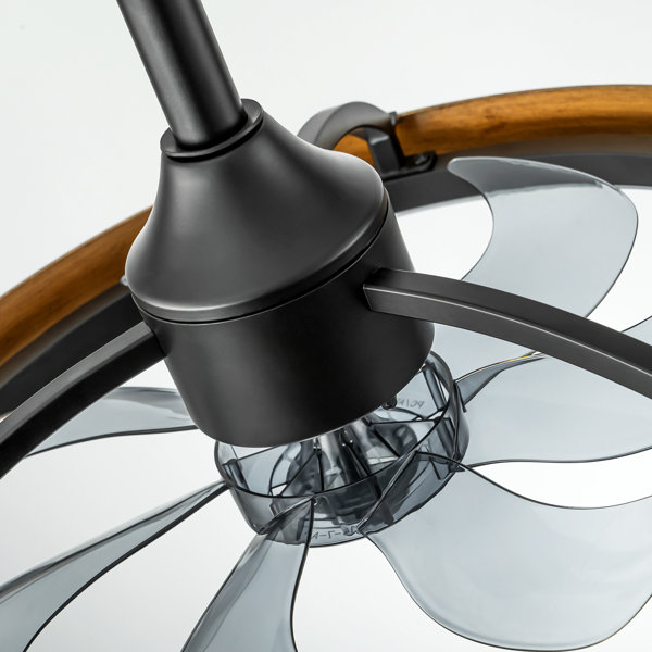 Wrought Studio™ Keetan 13.78'' Ceiling Fan with LED Lights | Wayfair