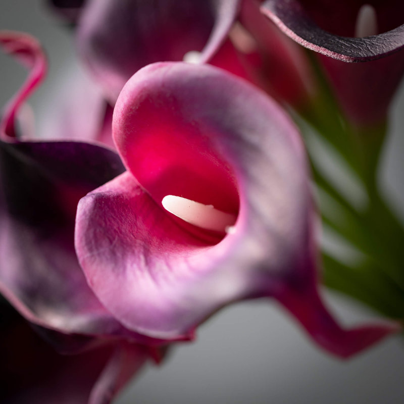 Primrue Cala Lily Arrangement | Wayfair
