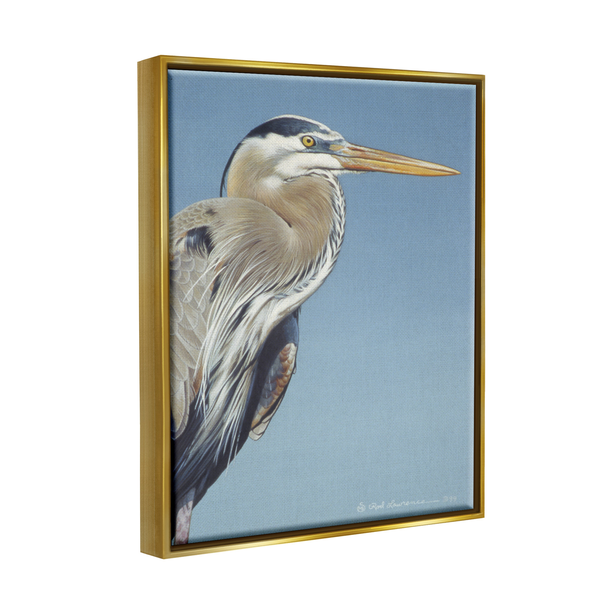 Stupell Industries Heron Portrait On Blue Framed On Canvas by Rod ...